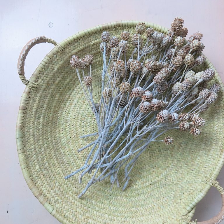 Online Shop für einzigartige Interieur Accessoires – Schöne Beute